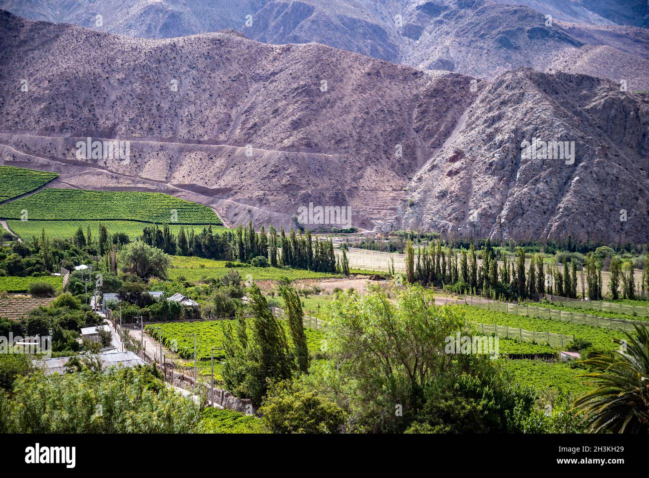 Elqui valley hi-res stock photography and images - Alamy