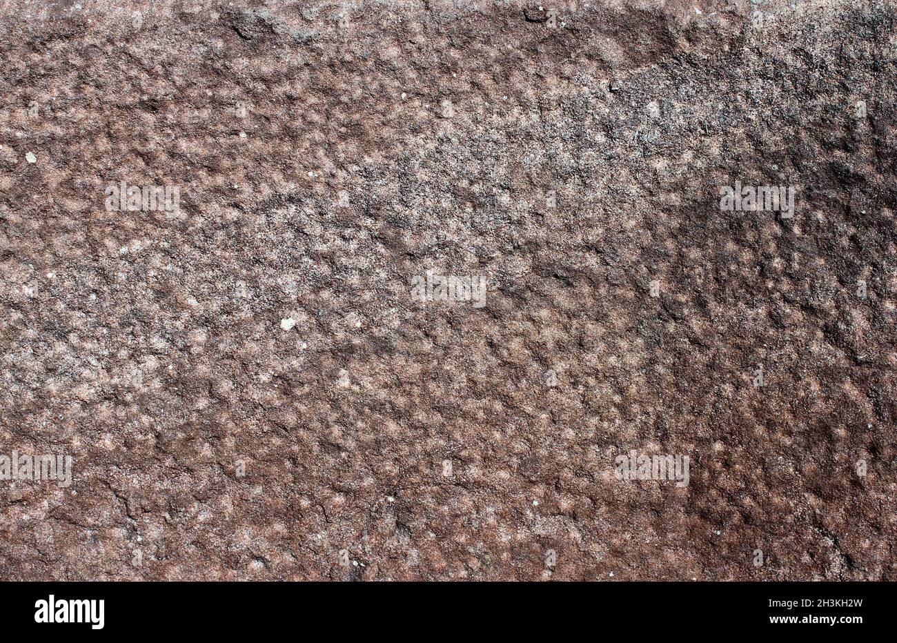 close up of a sanstone surface Stock Photo - Alamy