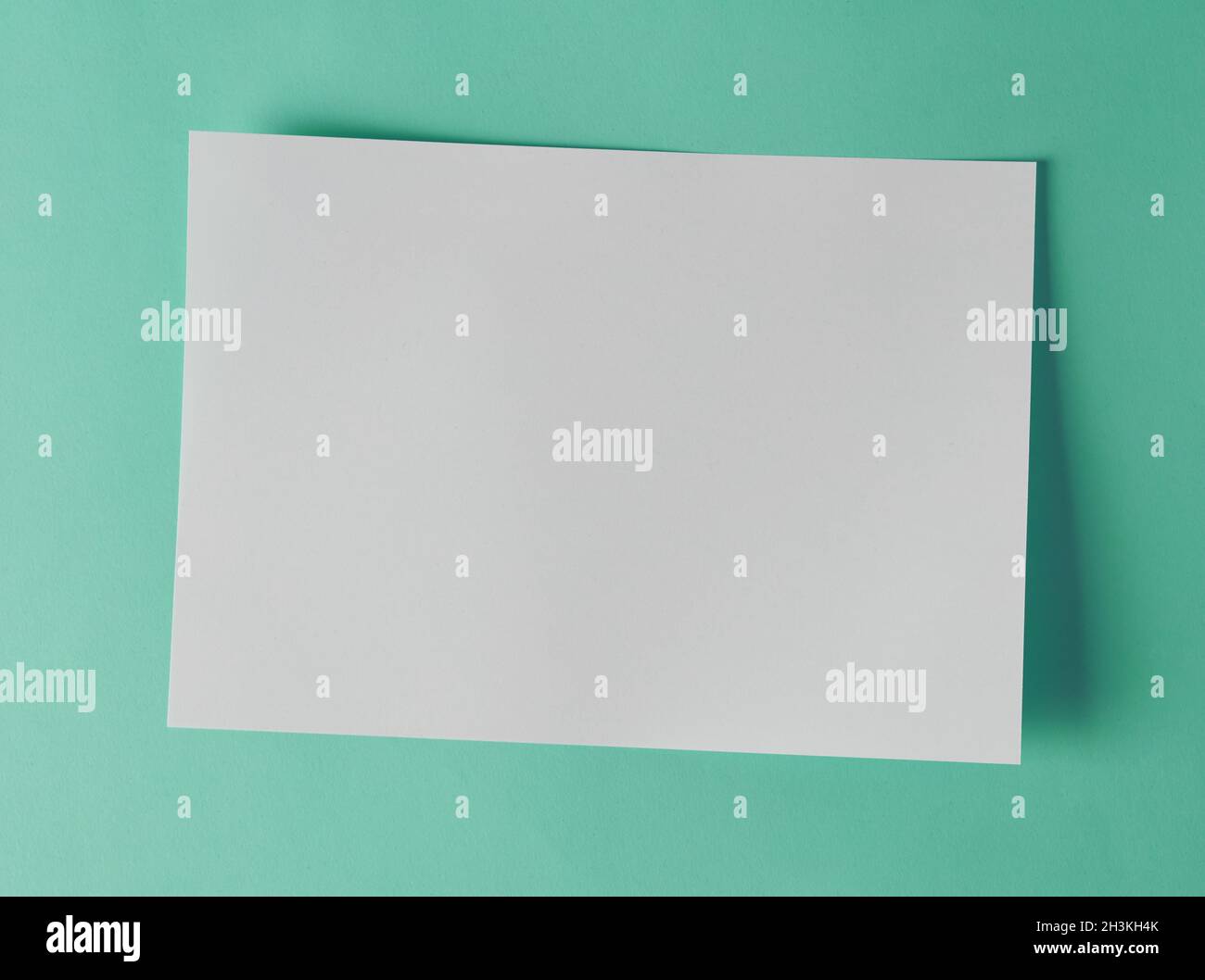 New blank white A4 paper Stock Photo - Alamy