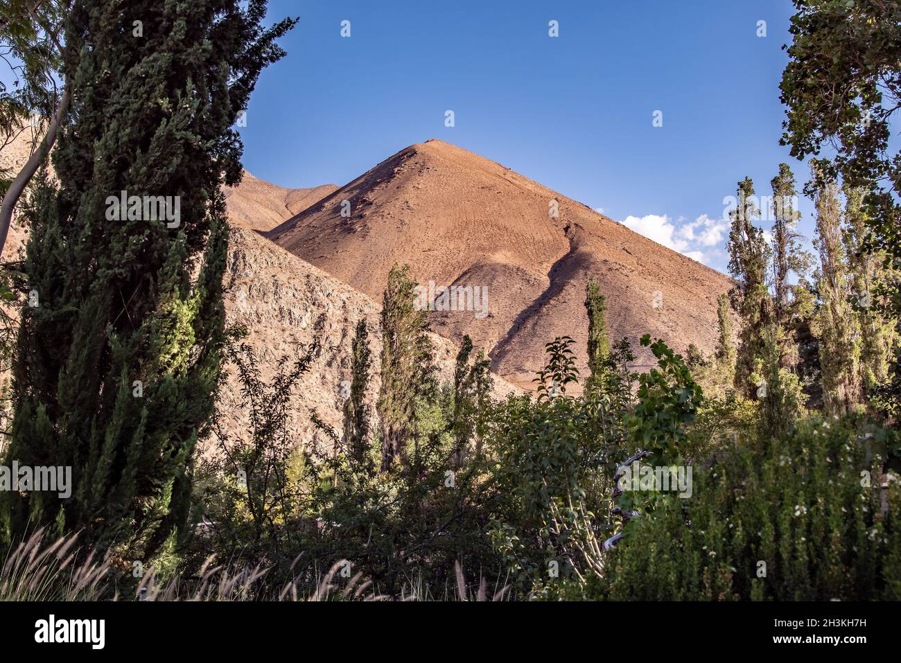 Desert look hi-res stock photography and images - Alamy