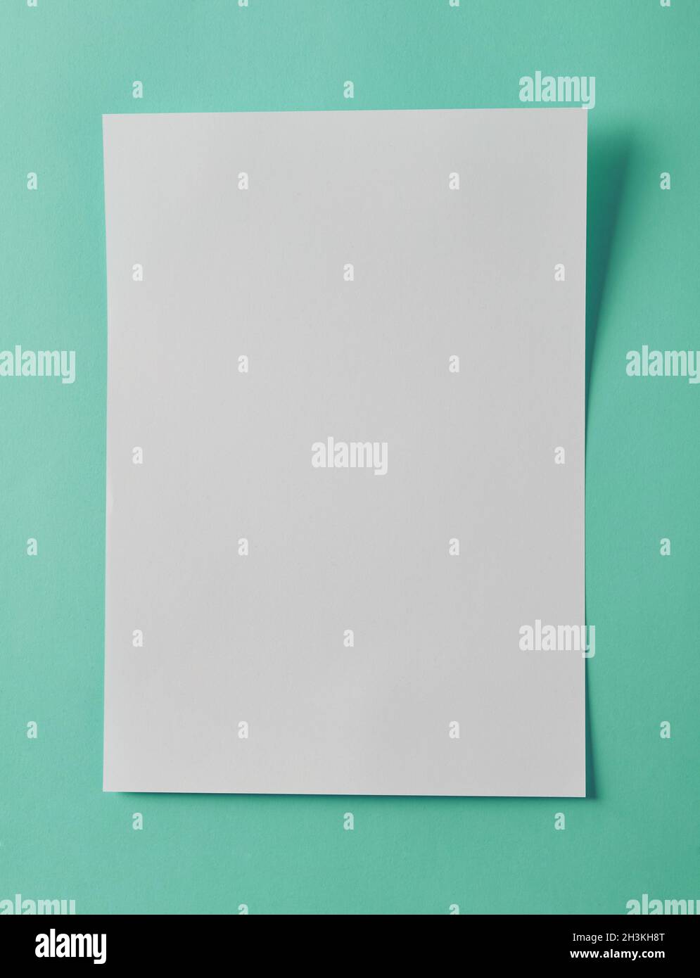 New blank white A4 paper Stock Photo - Alamy
