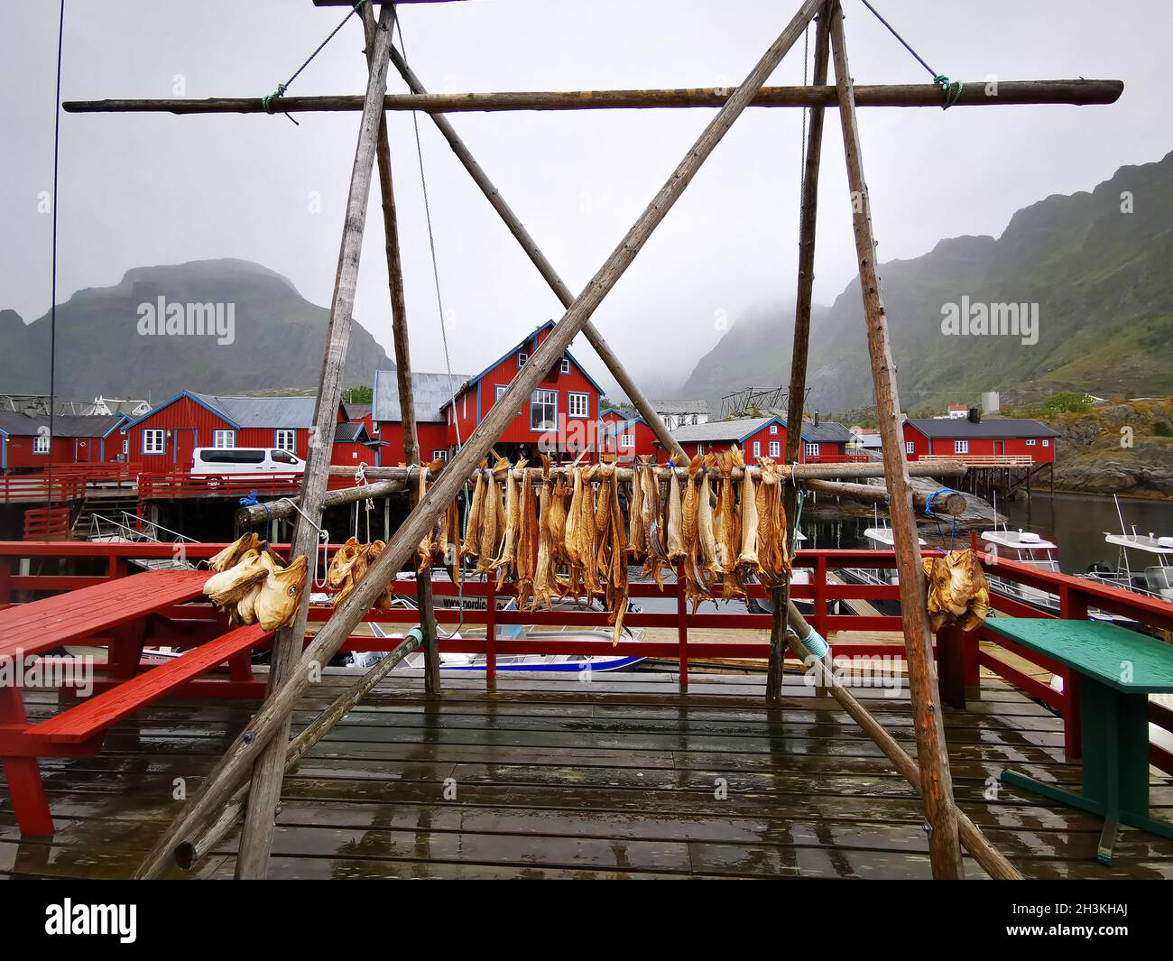 Dried fish hanging on the bay of Lofoten islands, Norway Stock Photo ...