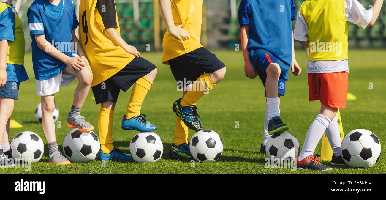 Children with Sports Ball Standing in Row at Training Class. Kids ...