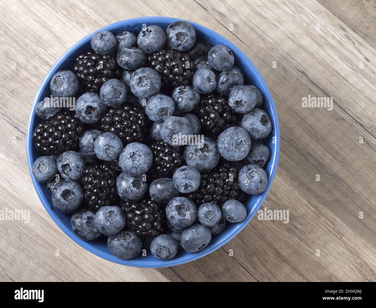 Forest berries (blueberry,bramble) in a ceramic blue bowl. Top view ...