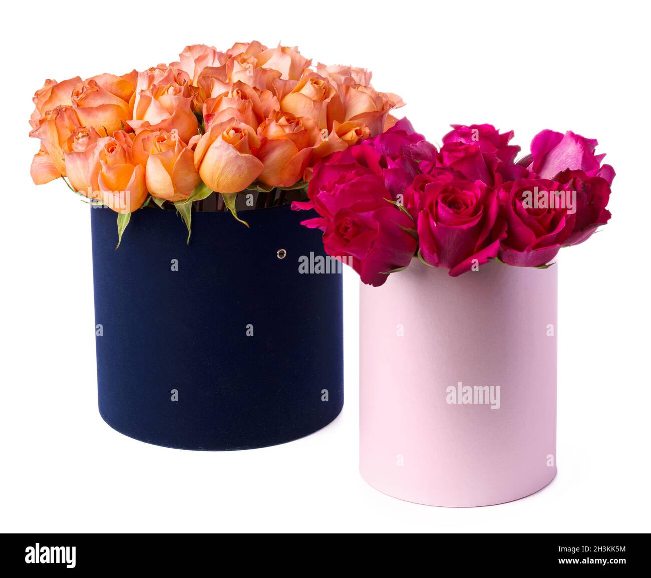 Beautiful boxes with fresh roses isolated on white background Stock ...