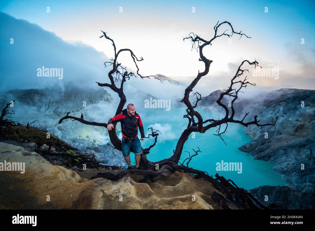 Man traveler standing near dead tree on edge of crater Ijen volcano ...