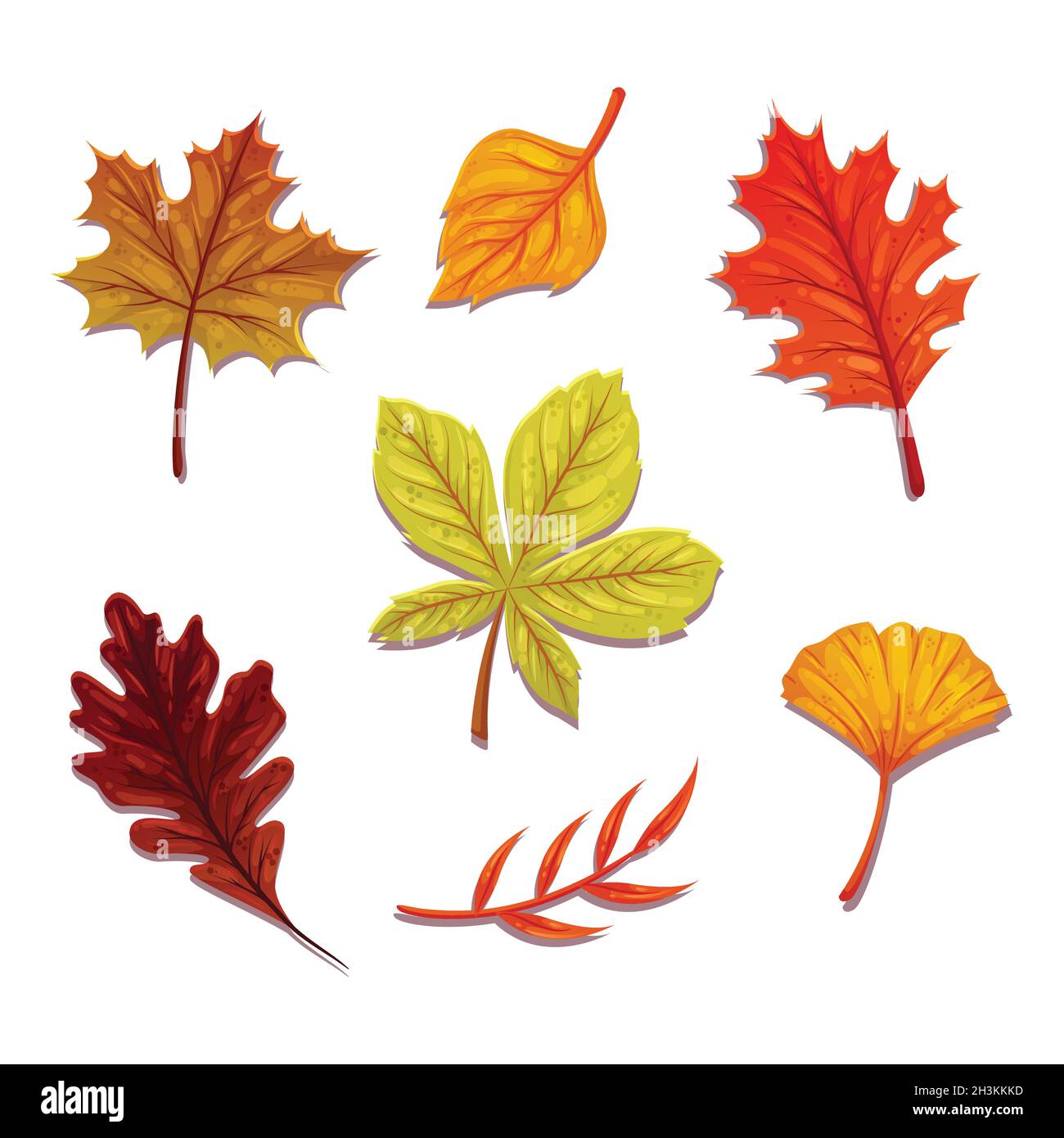 flat autumn leaves collection vector design illustration Stock Vector ...