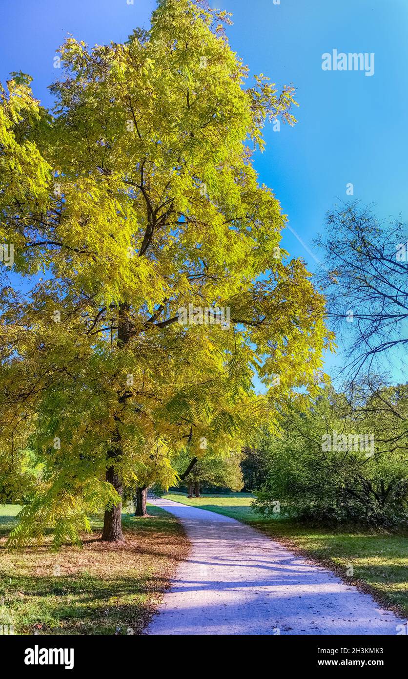 Sunlight park hi-res stock photography and images - Alamy