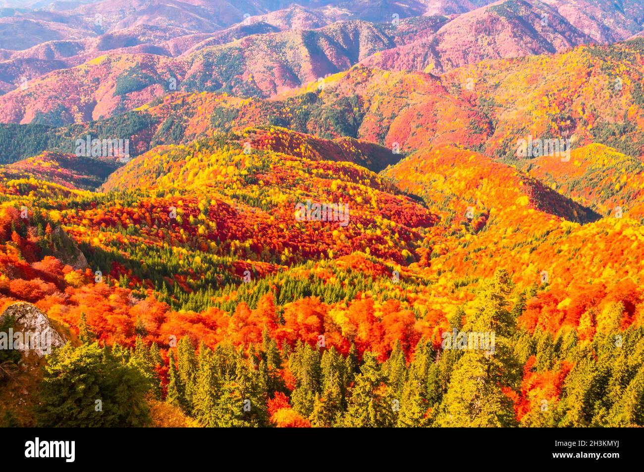 Autumn in Buila Vanturarita National Park, Carpathian Mountains ...