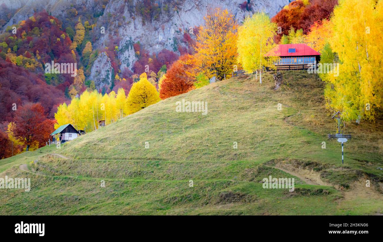 Autumn in Buila Vanturarita National Park, Carpathian Mountains ...
