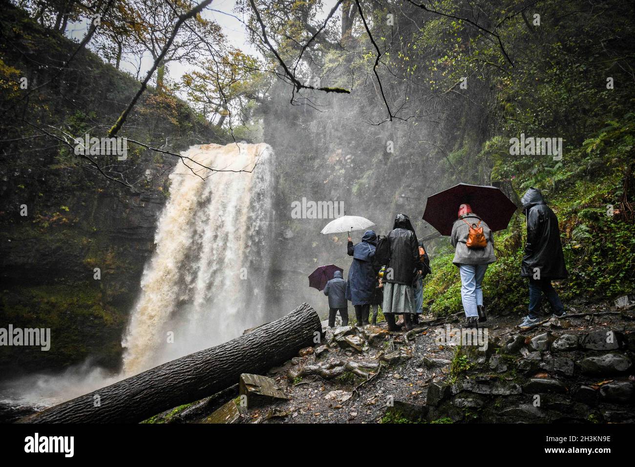 People with umbrellas head towards Henryd Falls in the Brecon Beacons ...