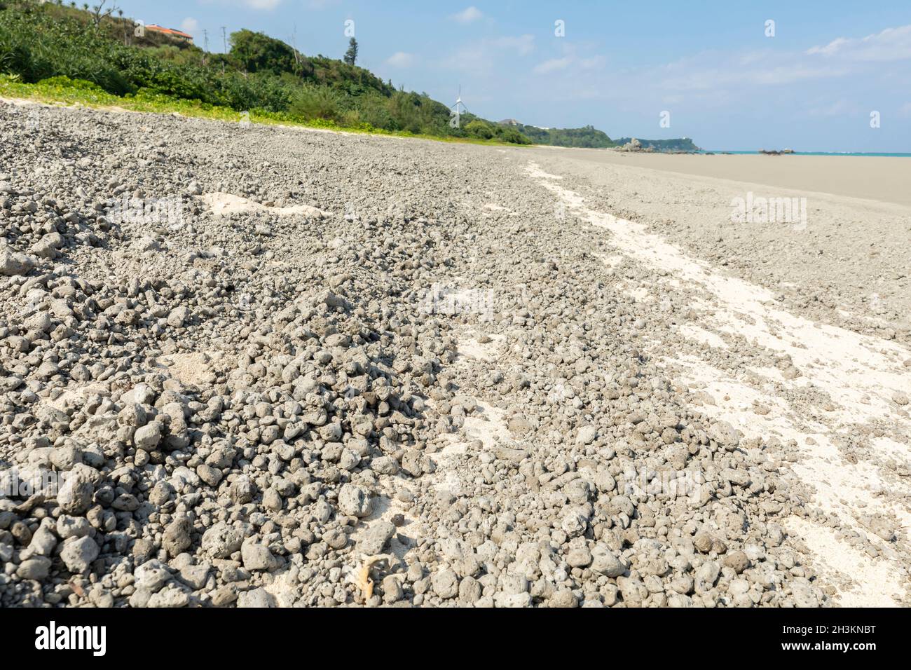Uppama Beach is seen covered massive amount of pumice stones apparently ...