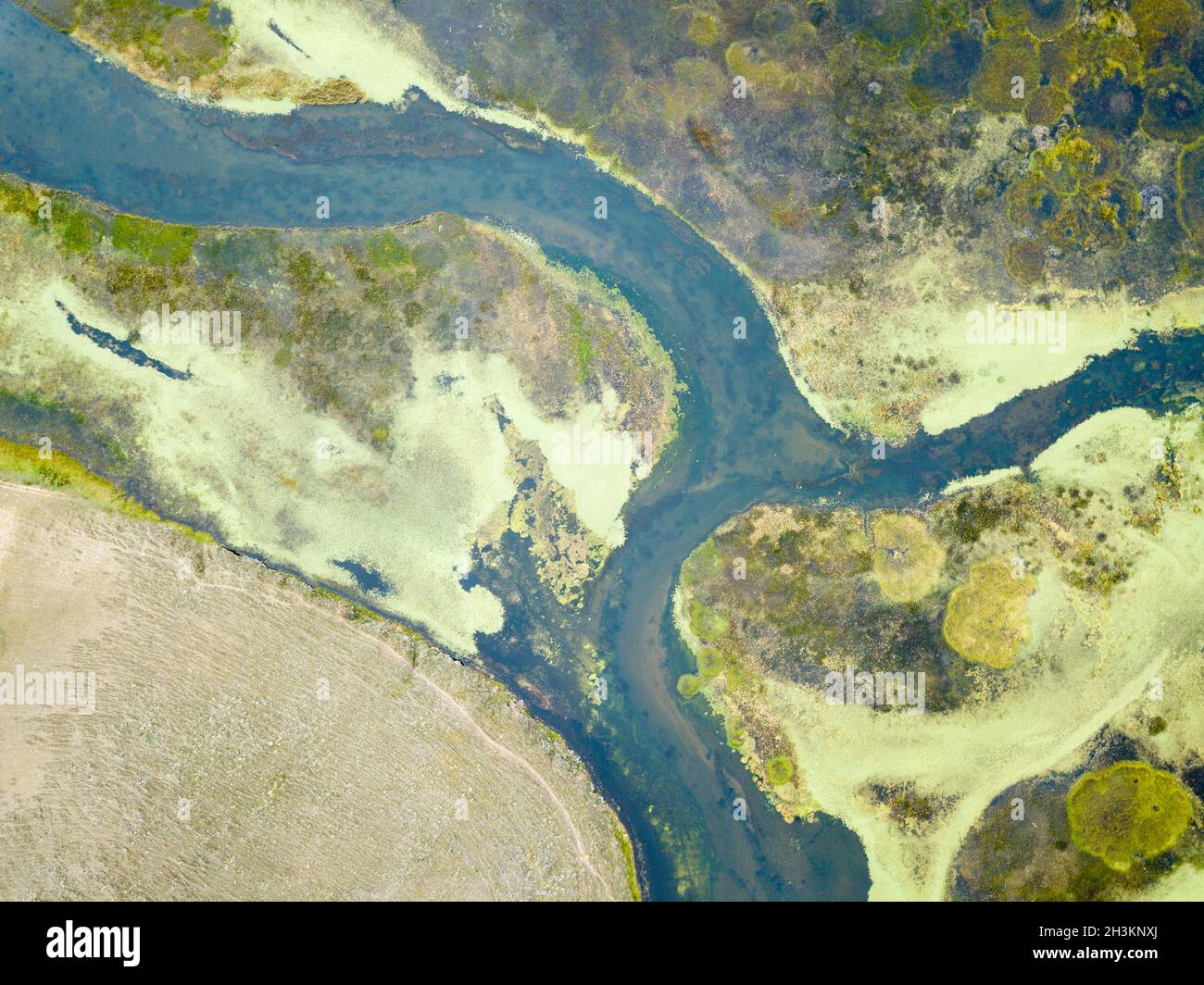 Aerial view of the delta of the Anga river before it flows into Lake ...