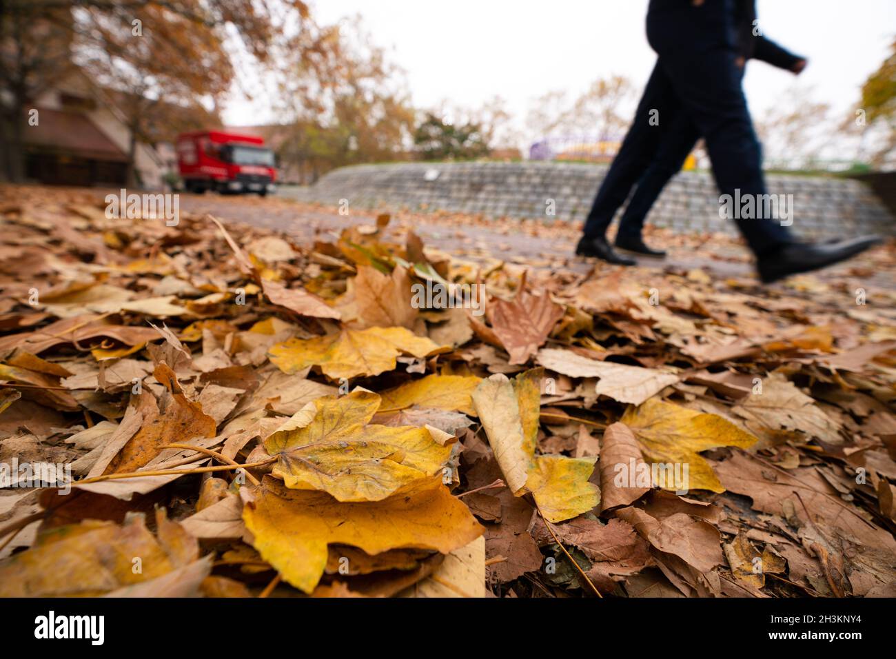 Past two seasons hi-res stock photography and images - Alamy