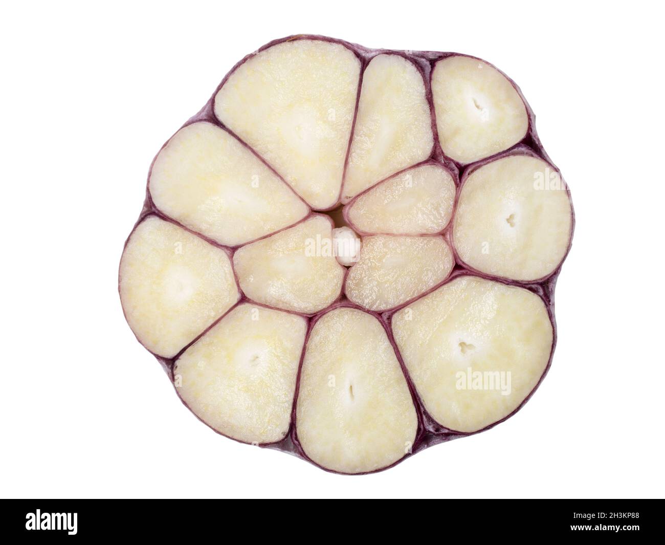 Raw garlic slice close-up isolated on white background. Top view Stock ...