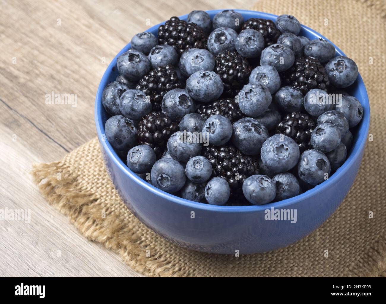 Forest berries (blueberry,bramble) in a ceramic blue bowl. Top view ...