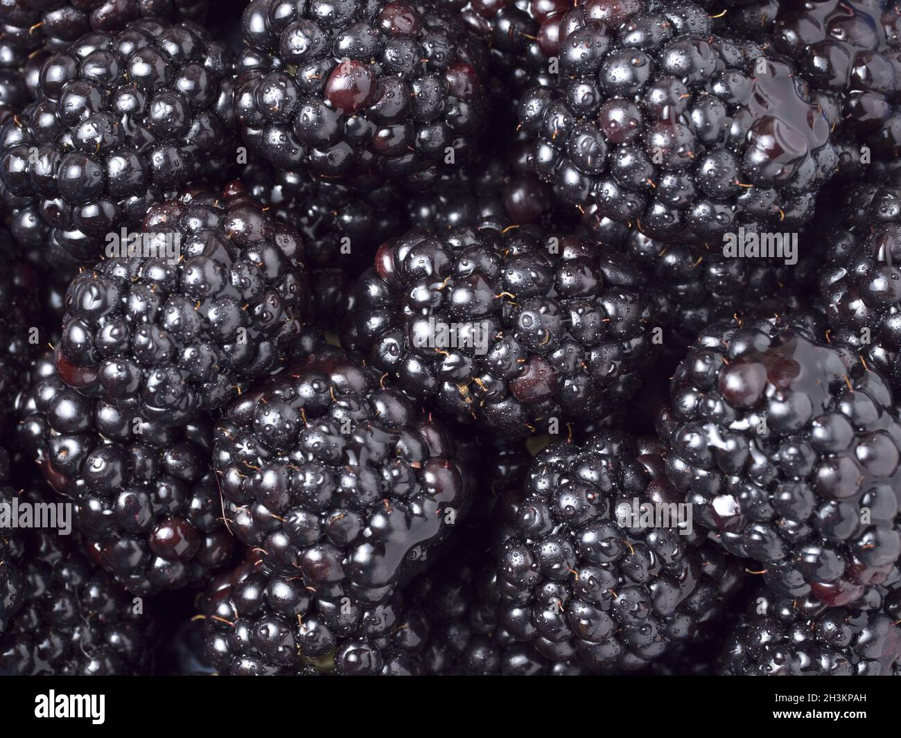 Macro view of fresh ripe blackberries Stock Photo - Alamy