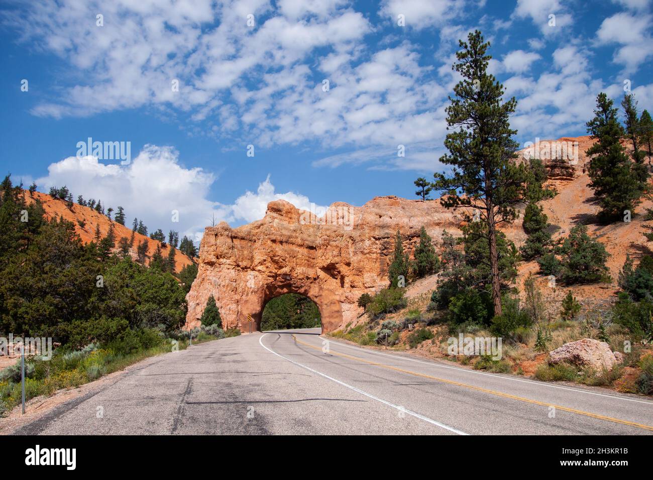 Scenic beautiful red rock arch formation over road at Dixie National ...