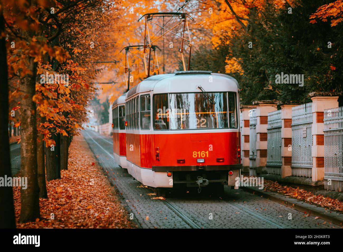 Prague tram on unique section of the tram line which is a popular ...
