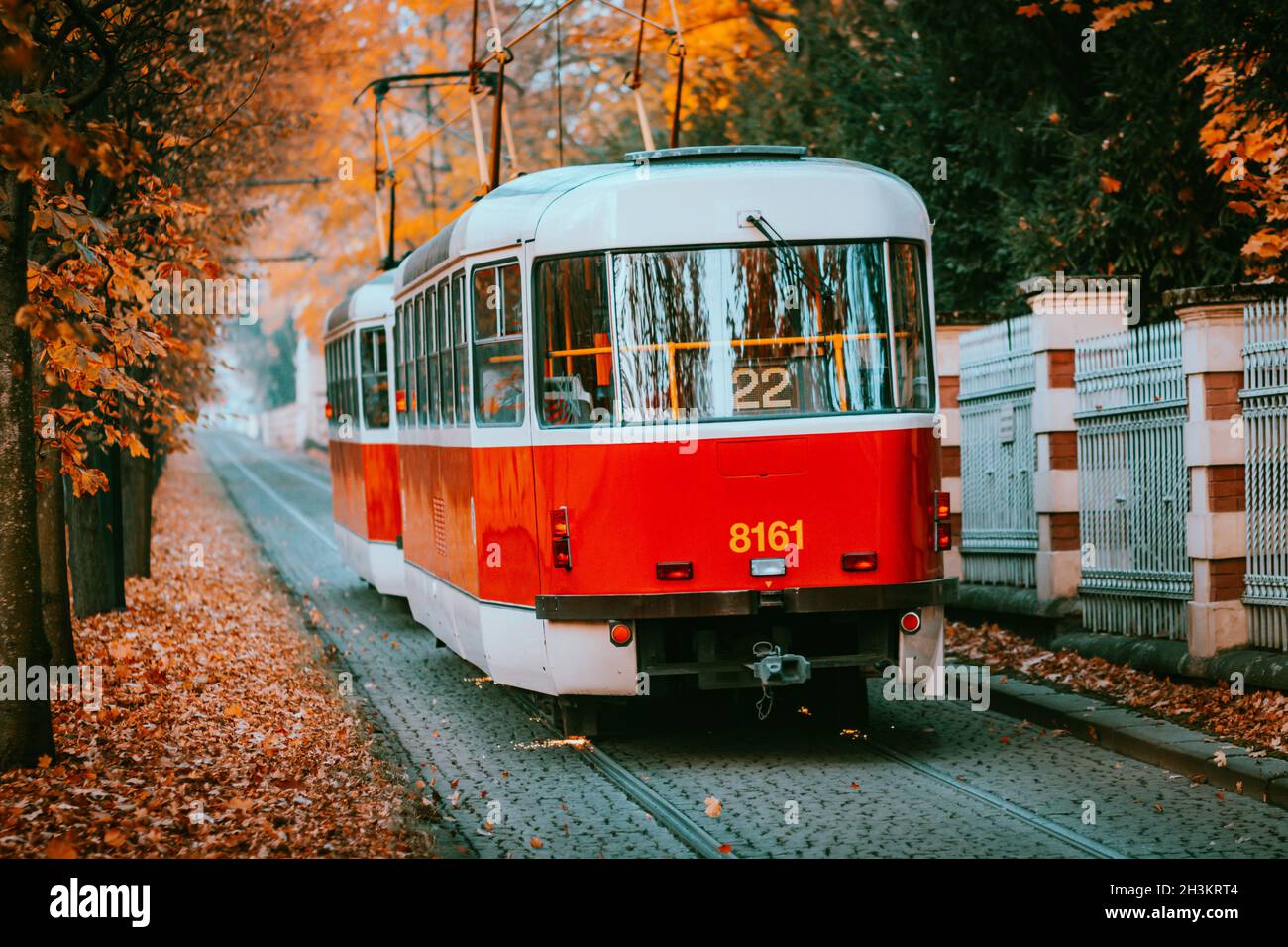 Prague tram on unique section of the tram line which is a popular ...