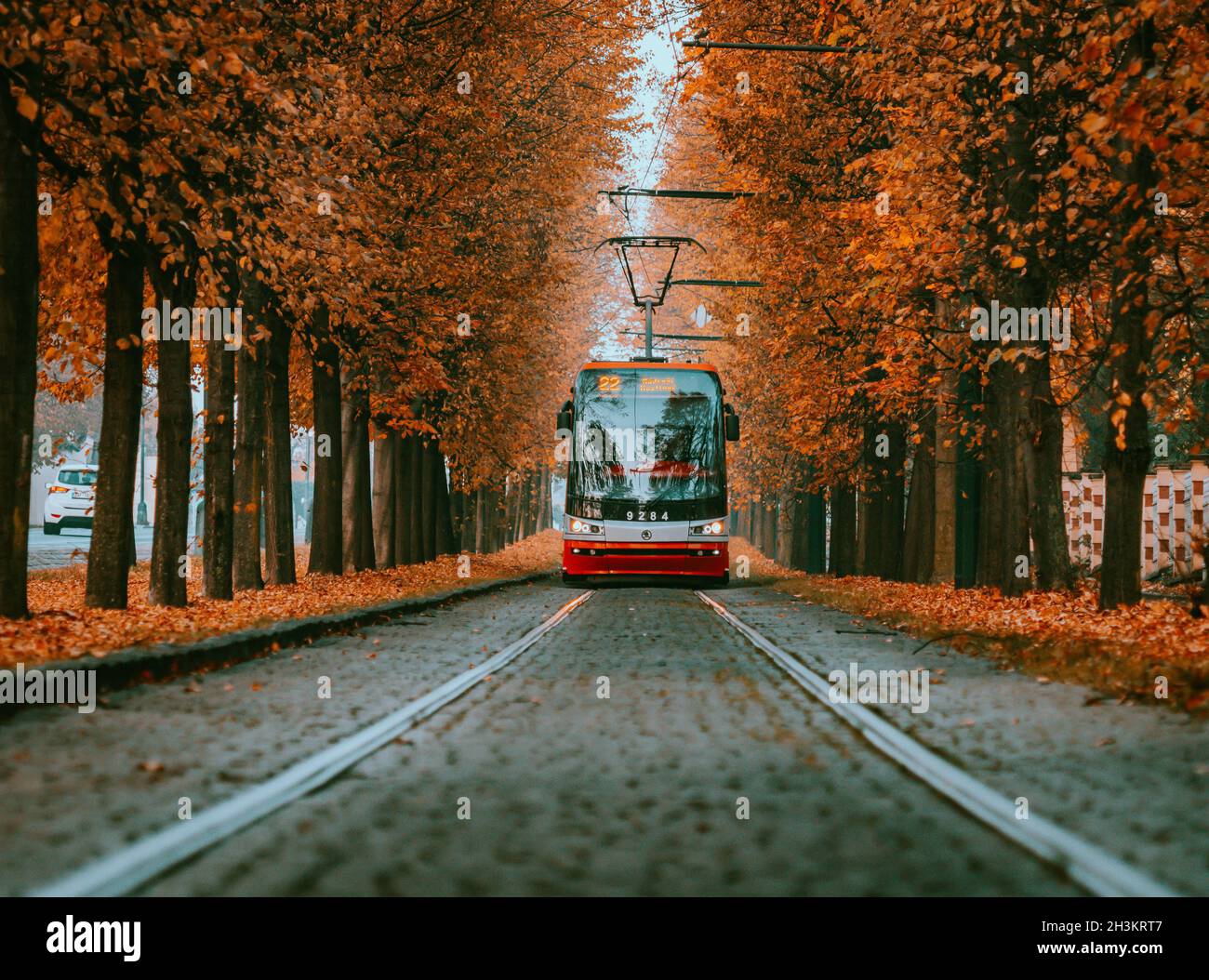 Prague tram on unique section of the tram line which is a popular ...