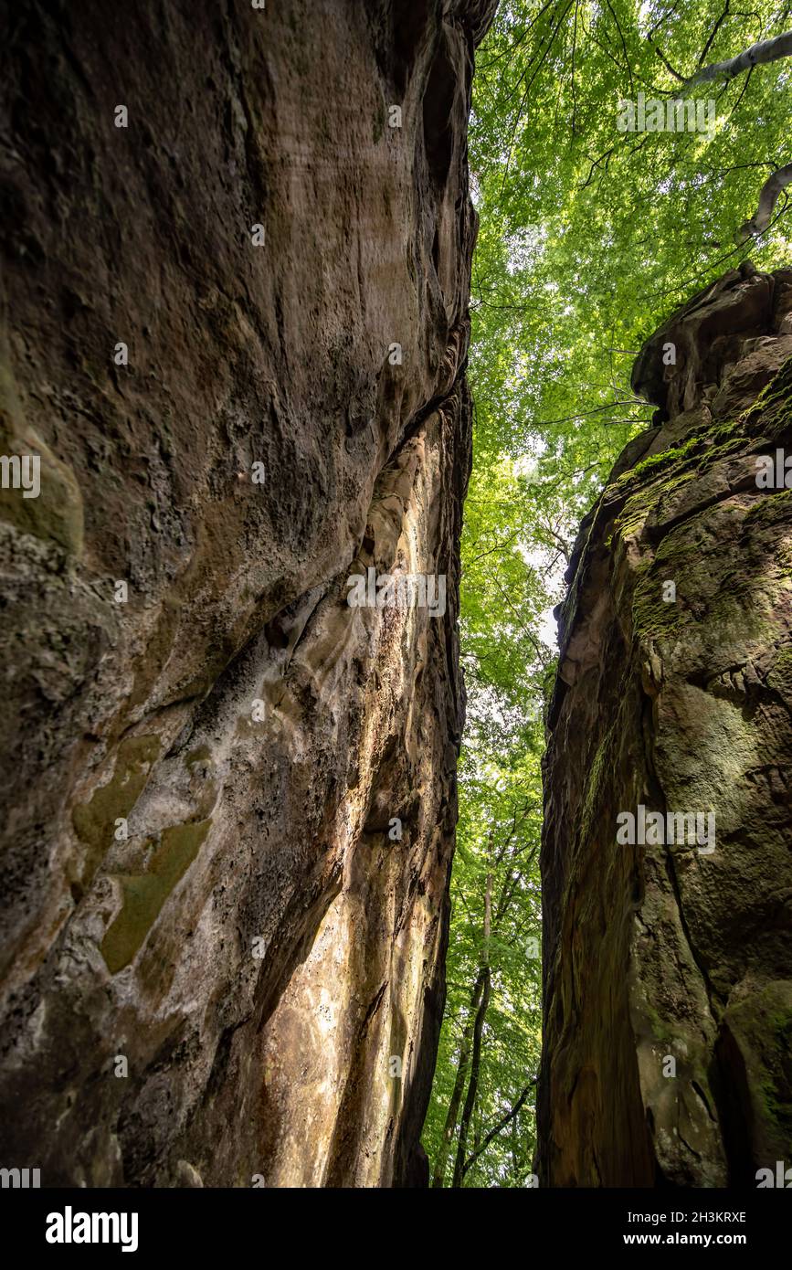 Deep valley in the summer in Germany Stock Photo - Alamy