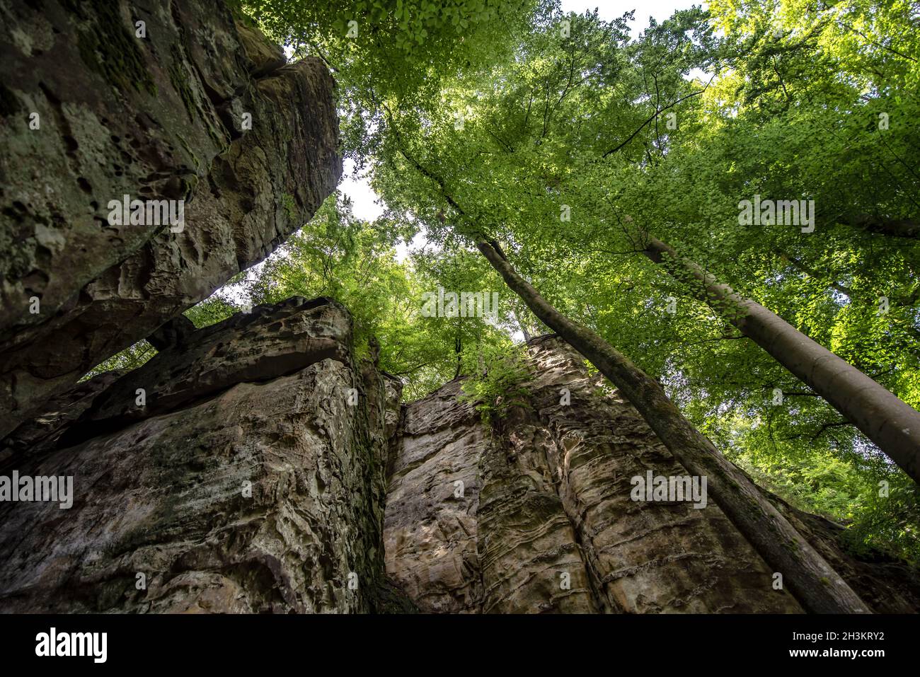 Devils valley in the Eifel Stock Photo - Alamy