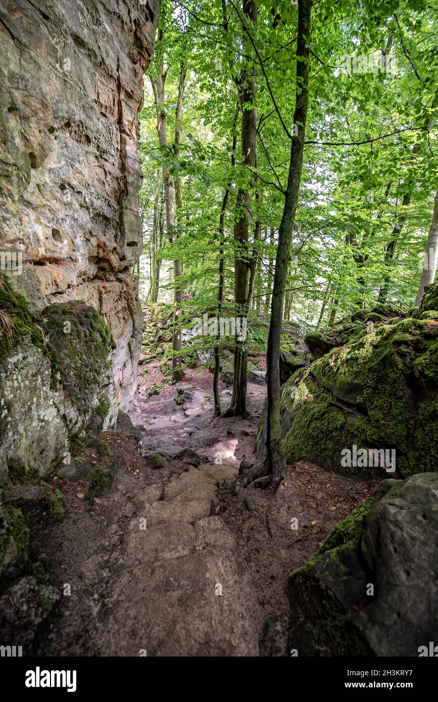 Deep valley in the Eifel Stock Photo - Alamy