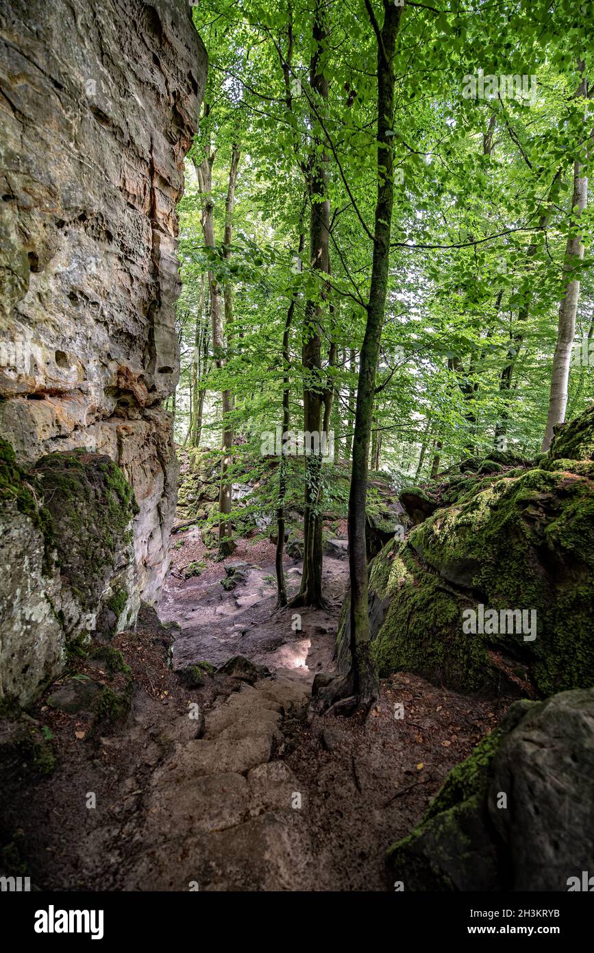 Valley in the forest Stock Photo - Alamy