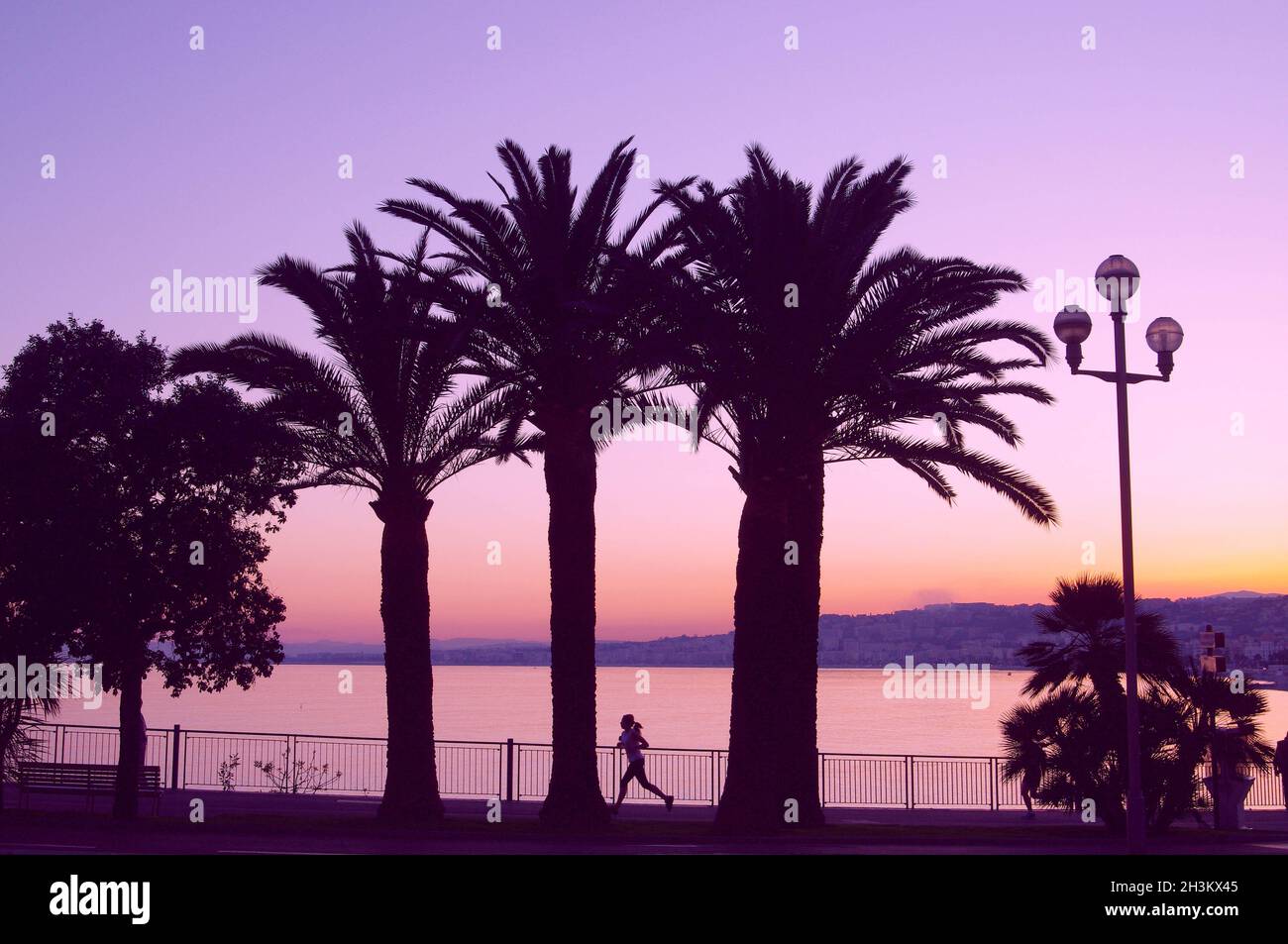 Nice sunset with trees hi-res stock photography and images - Alamy