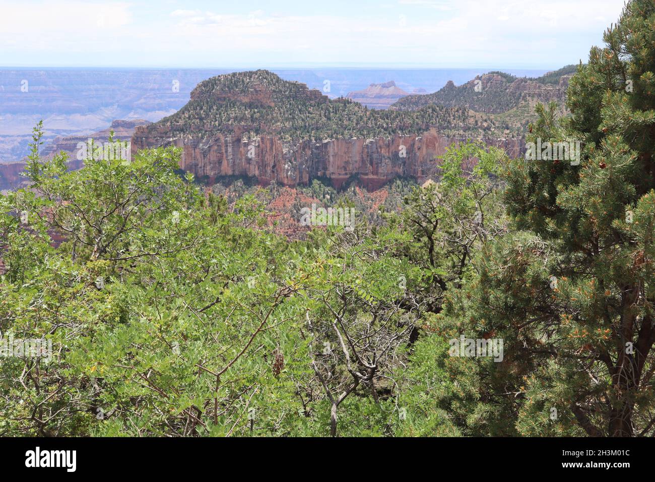 Mesa among rugged layered red rocky desert landscape at the North Rim ...