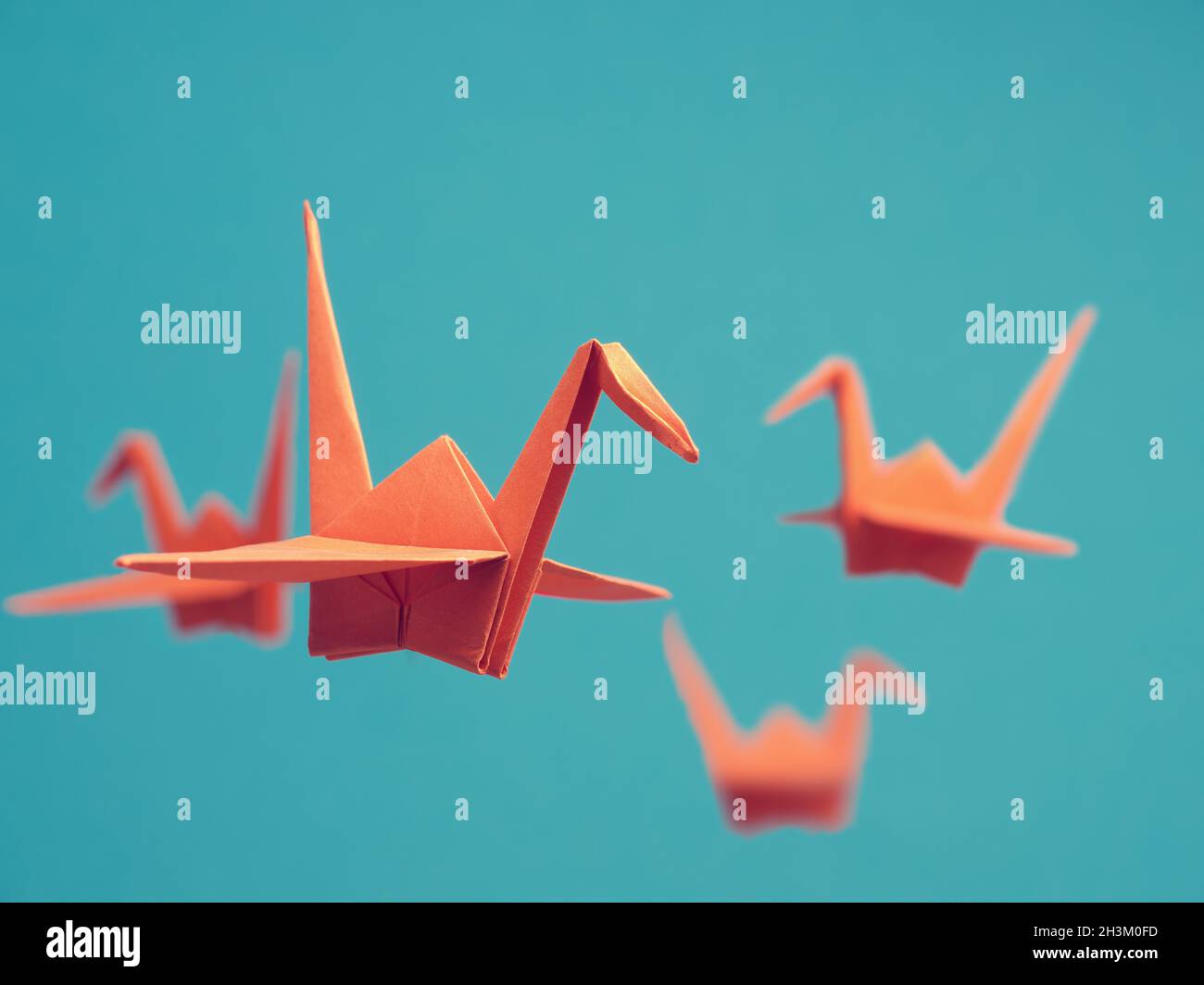 Four origami cranes on a blue background, luck or success concept Stock ...