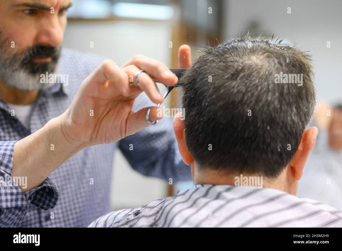 Barber trimming hair of old man at barber shop Stock Photo - Alamy