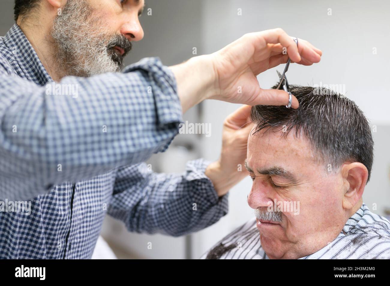 Barber trimming hair of old man at barber shop Stock Photo - Alamy