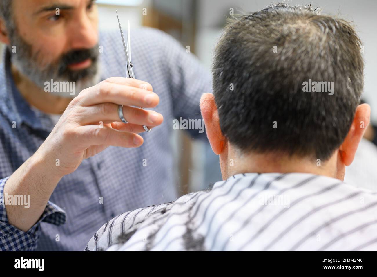 Barber trimming hair of old man at barber shop Stock Photo - Alamy