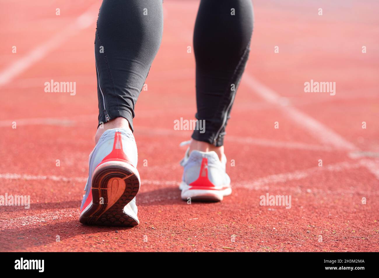 Athletic person on running track getting ready to start run, back view ...