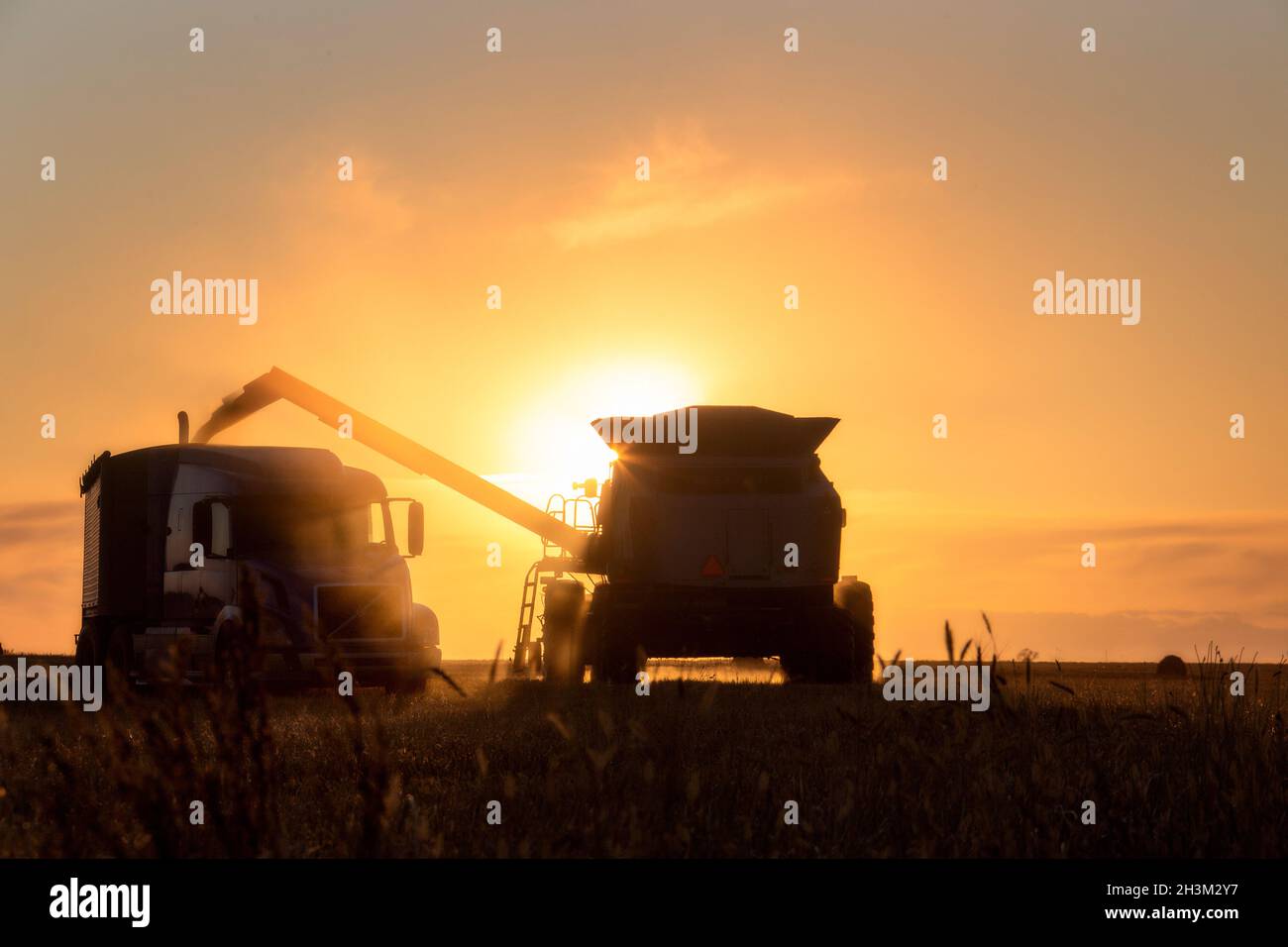 Harvest Sunset Canada Stock Photo - Alamy