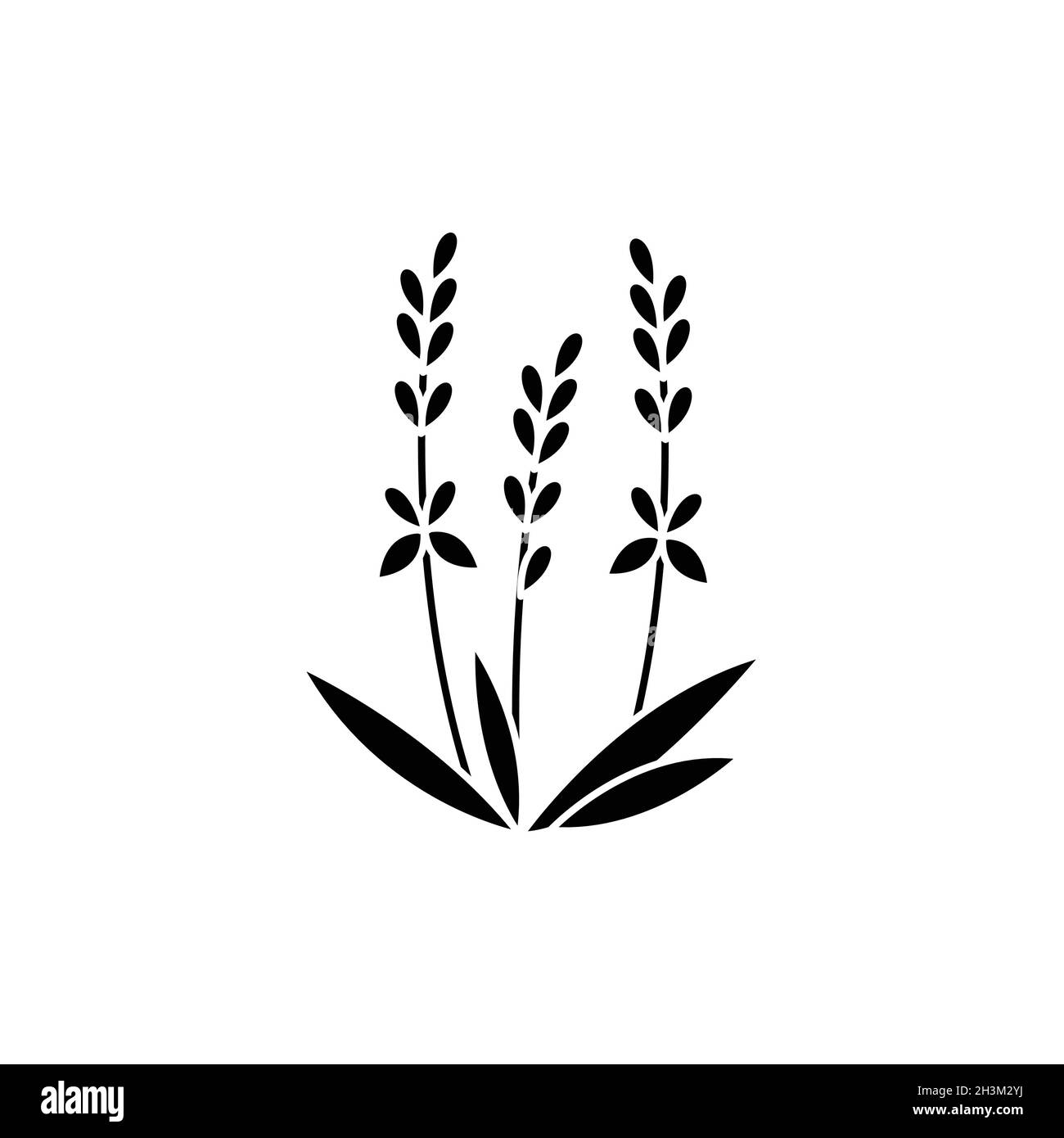 Lavender Essential Oils Clip Art