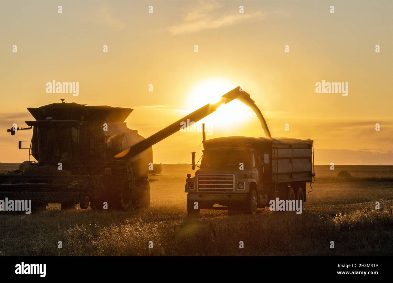 Harvest Sunset Canada Stock Photo - Alamy