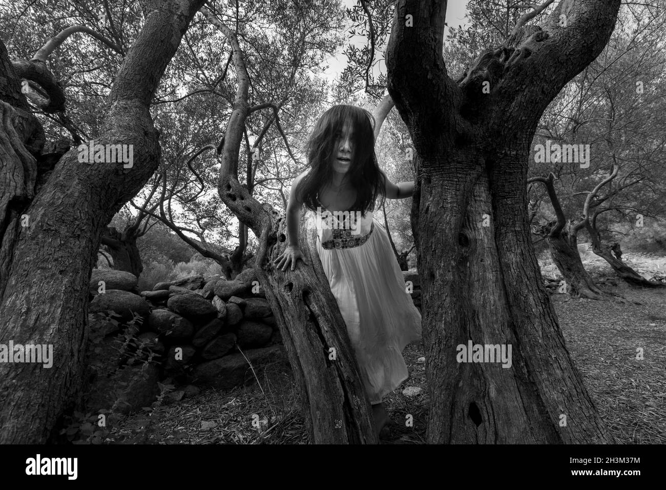 Scary face tree Black and White Stock Photos & Images - Alamy