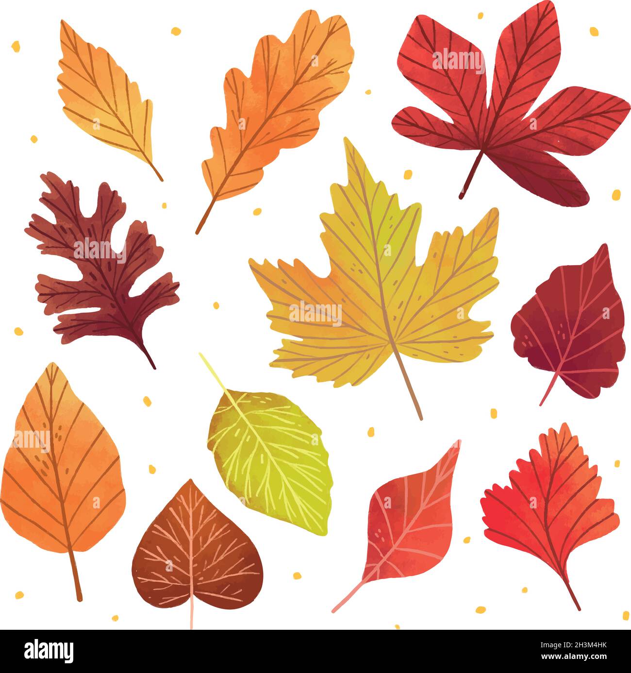 hand drawn autumn leaves collection vector design illustration Stock ...