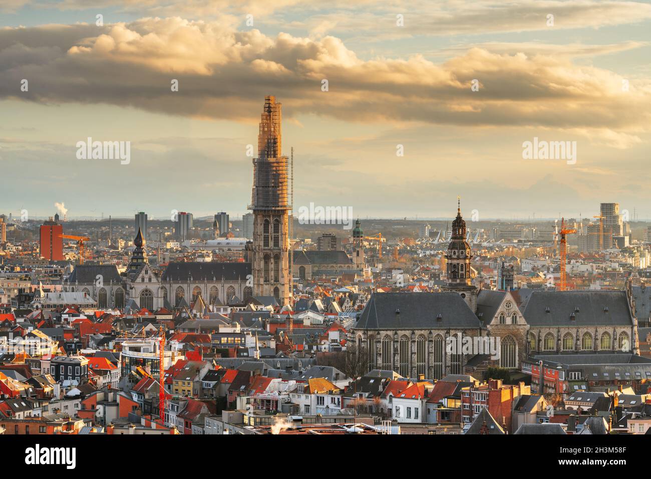 Antwerp at twilight hi-res stock photography and images - Alamy