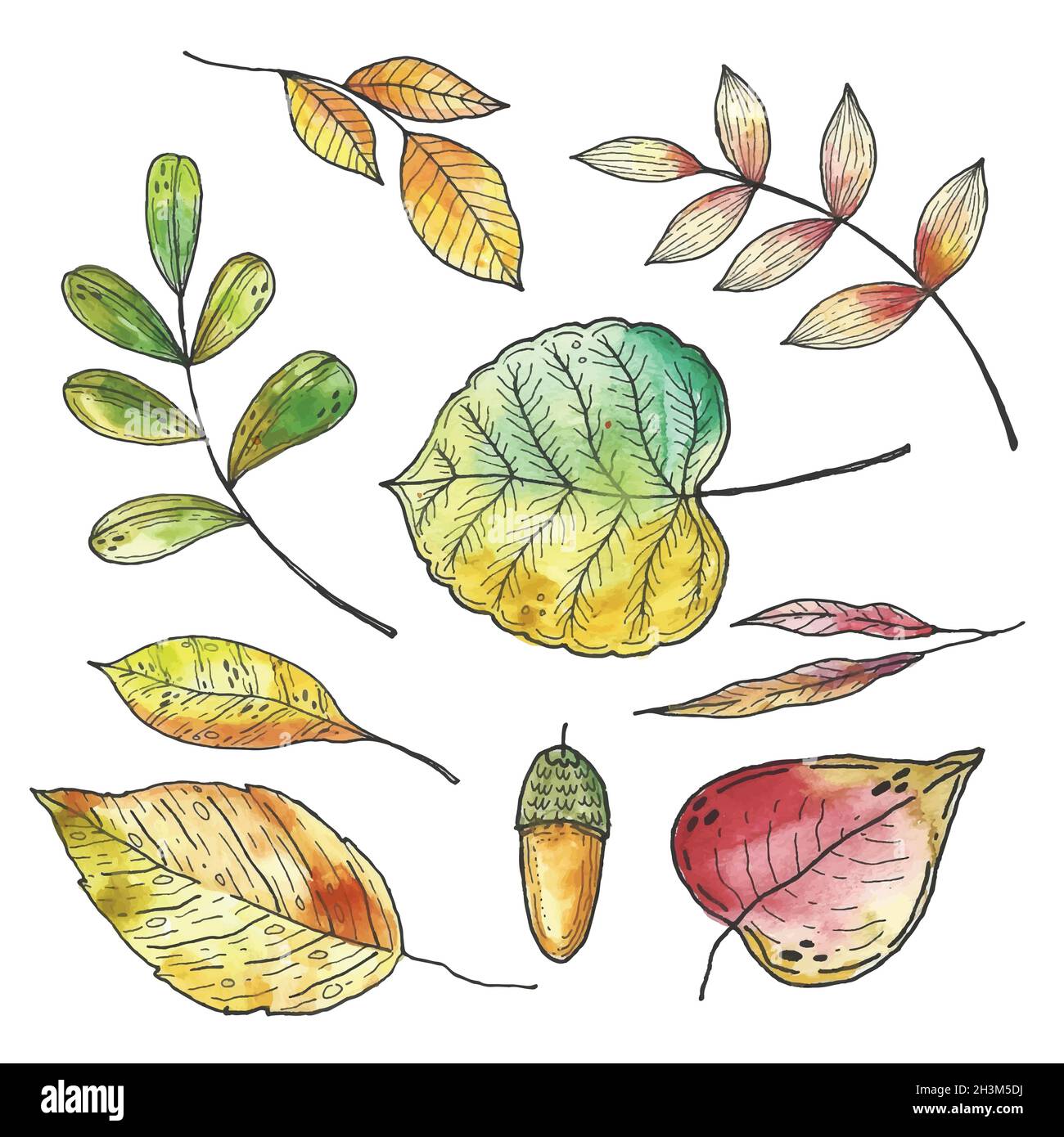 hand drawn autumn leaves set vector design illustration Stock Vector ...