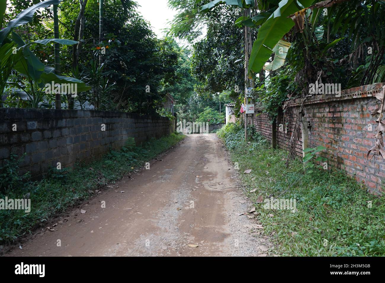 On the main road of village Stock Photo - Alamy