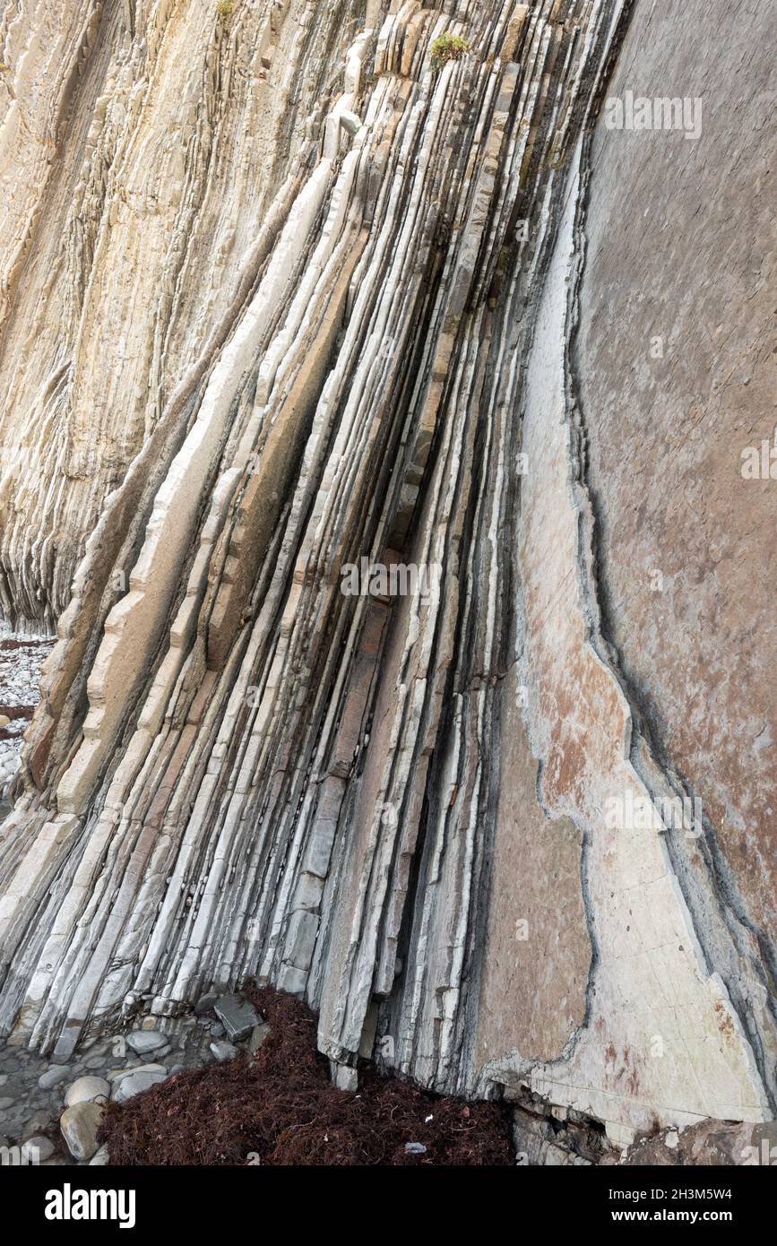 Rock strata, geological texture background detail in Zumaia, Basque ...