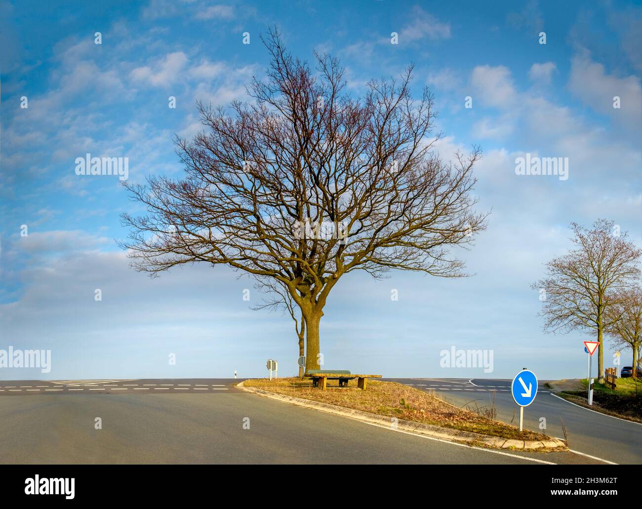 Landscape picture with a single tree in middle of the asphalt ...