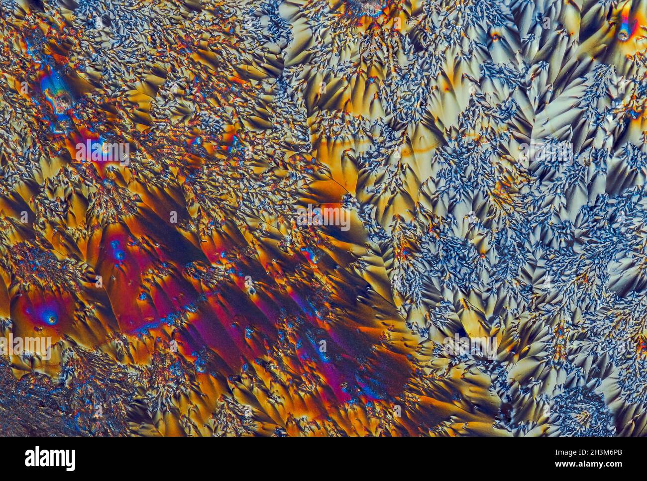 Extreme macro photograph of Vitamin C crystals forming abstract modern ...