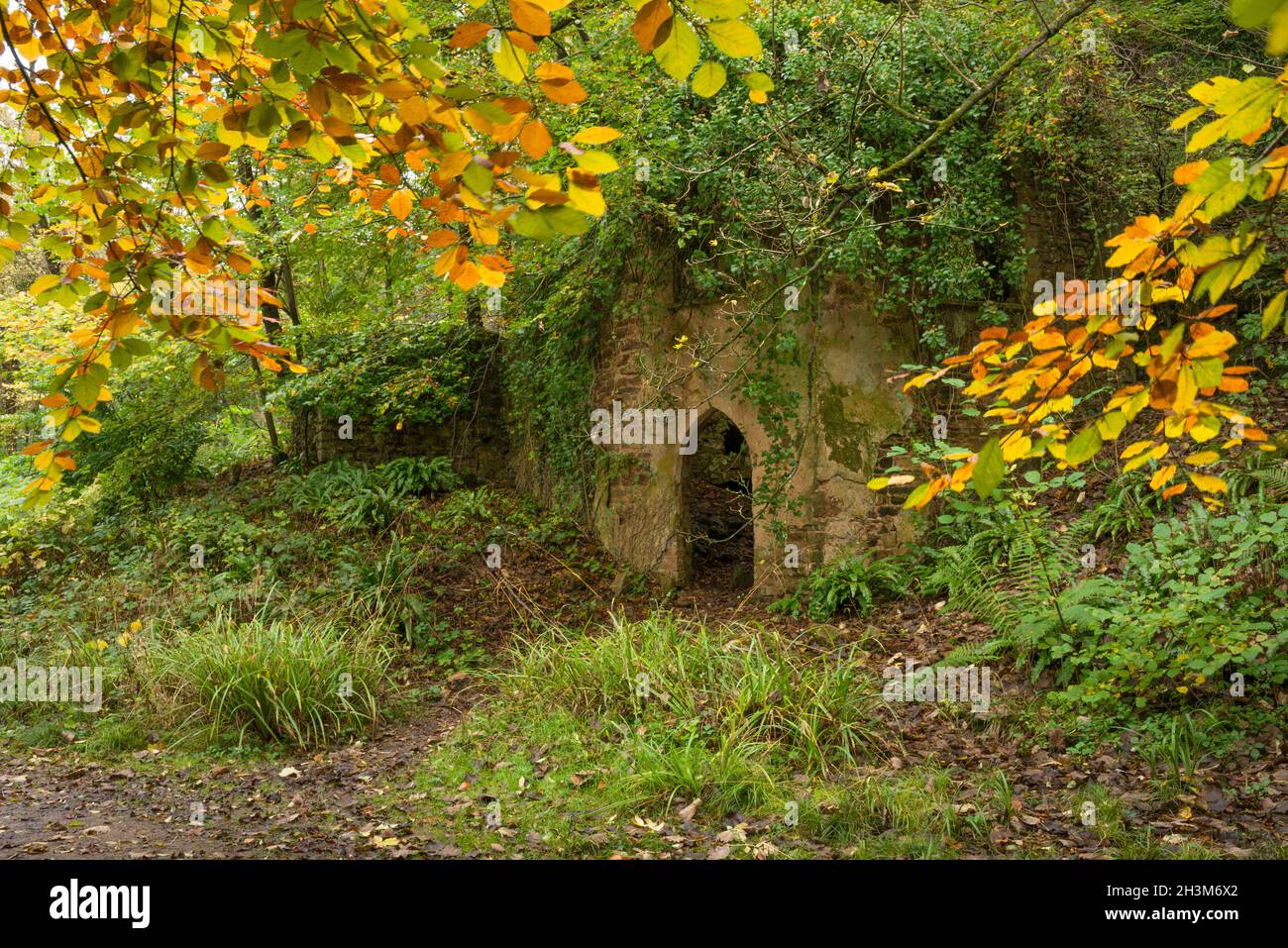 Runins of Mendip Lodge, the 18th century Italianate house built by ...