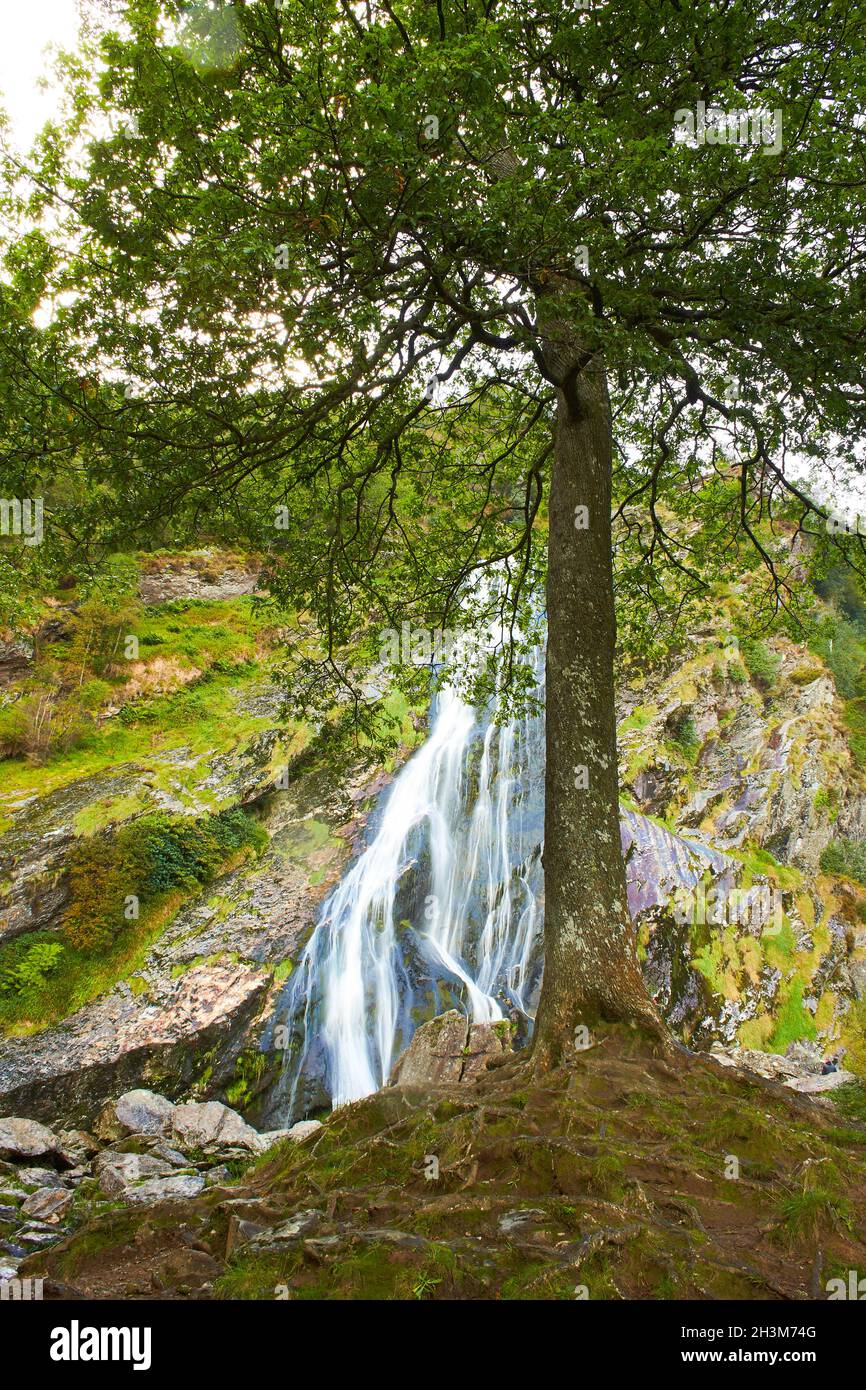 Majestic water cascade of Powerscourt Waterfall, the highest waterfall ...