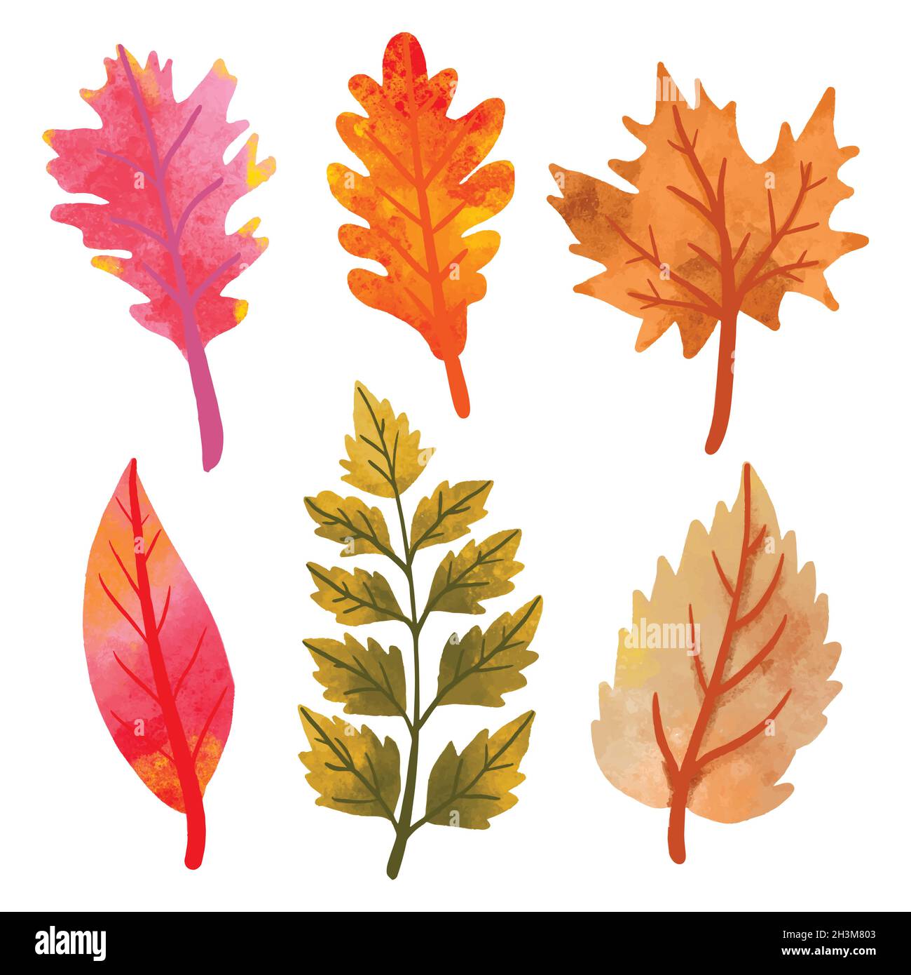 hand drawn autumn leaves collection vector design illustration Stock ...